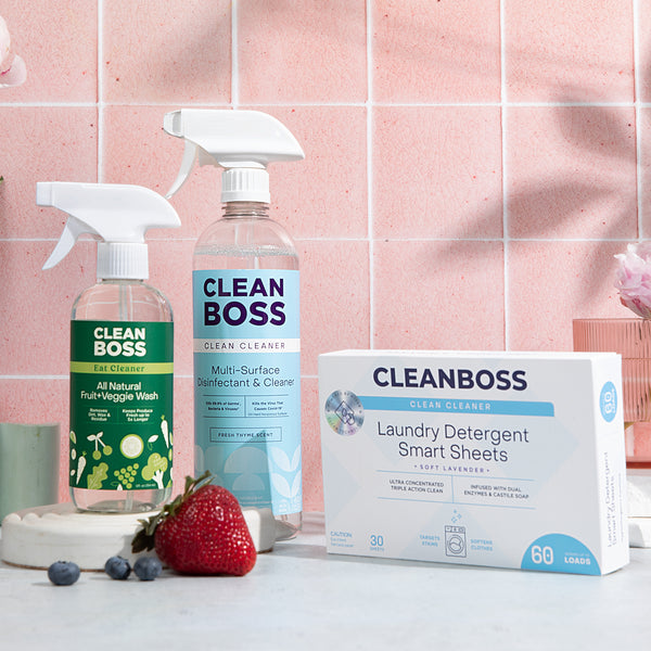 Whole-Home Hygiene Kit - CleanBoss