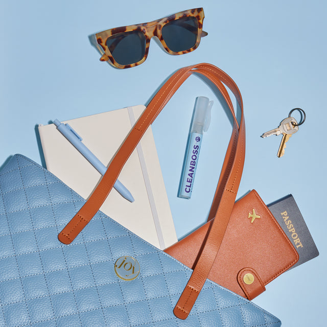 CleanBoss: Innovative Home Products featuring Silver Ion Technology ...