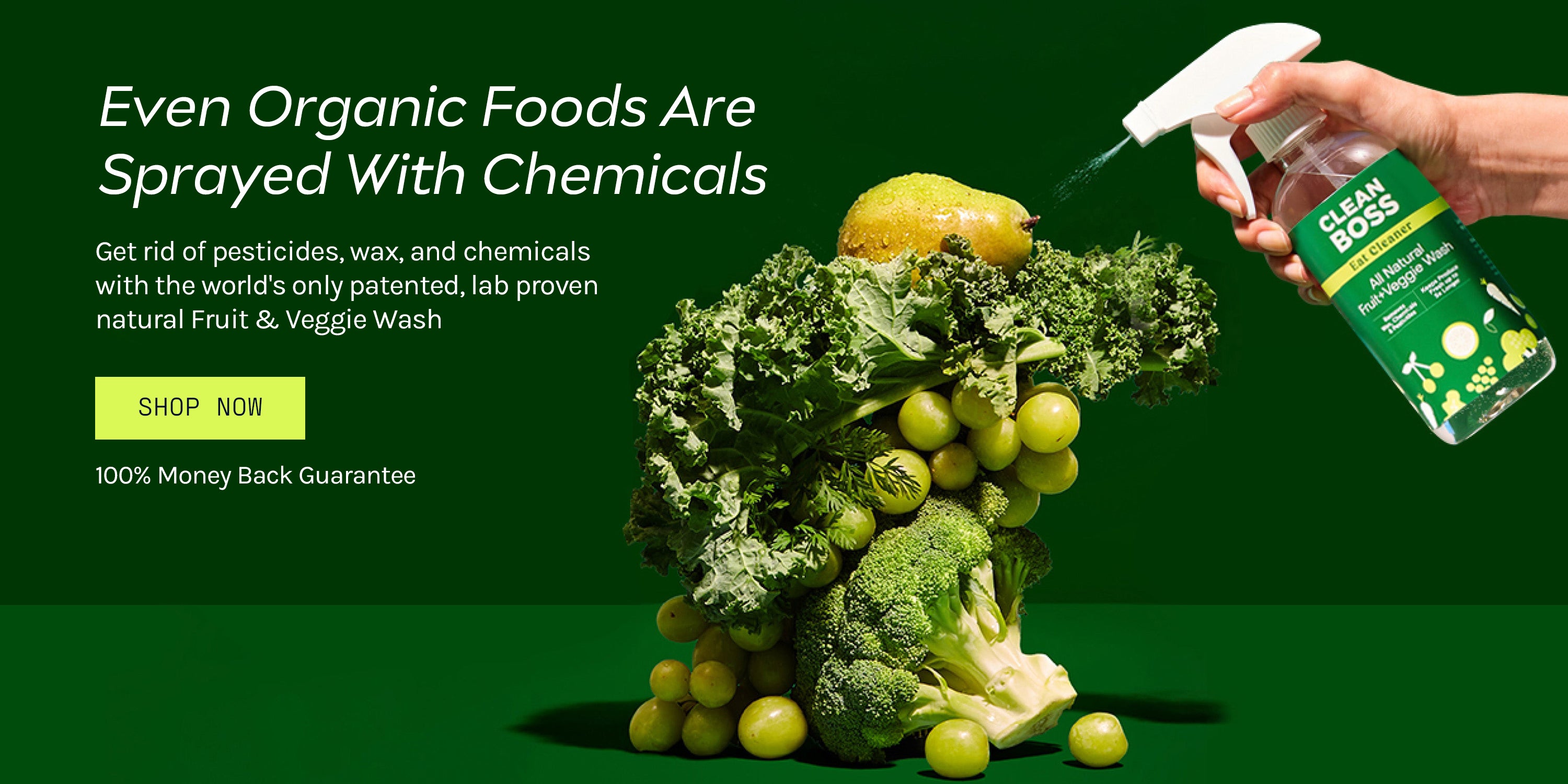 CleanBoss | Shop CleanBoss Products & Cleaners