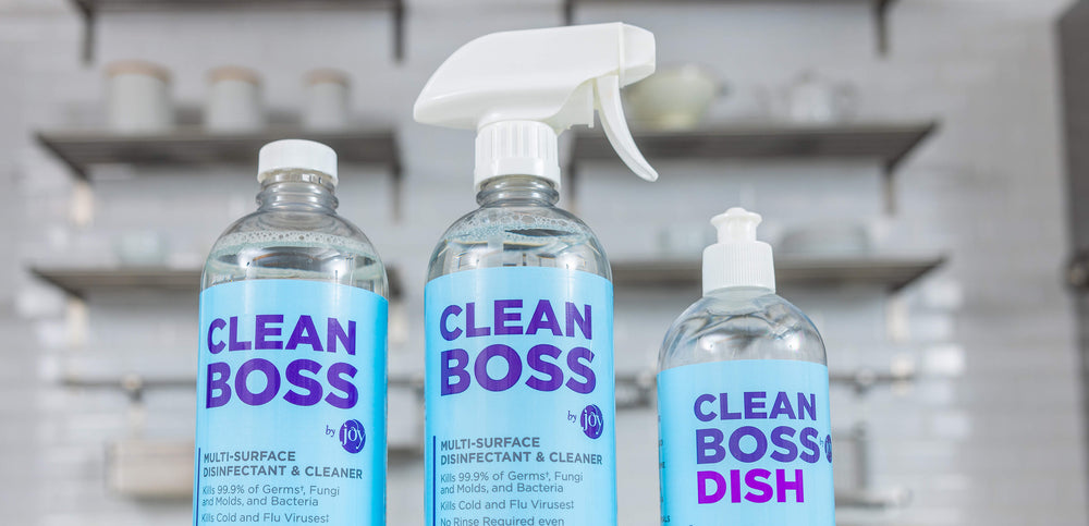 The 'Boss Blog - CleanBoss